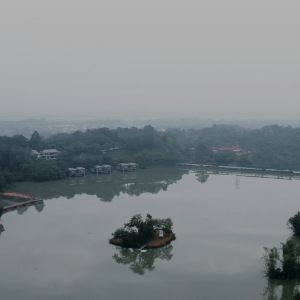 Project Showcase - Sanlien Technology